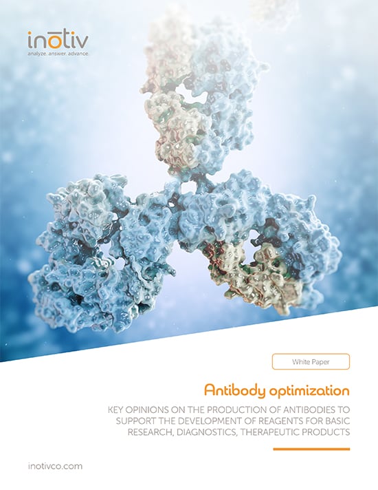Antibody Optimization - applications of antibodies in drug development